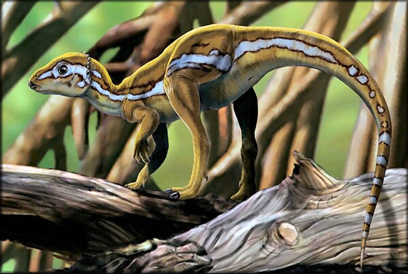 micropachycephalosaurus